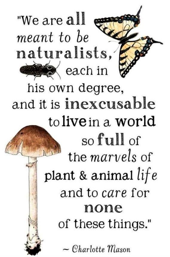 “ASK LITTLE RED BEAR” — WE ANSWER READER QUESTIONS | James Milson ...