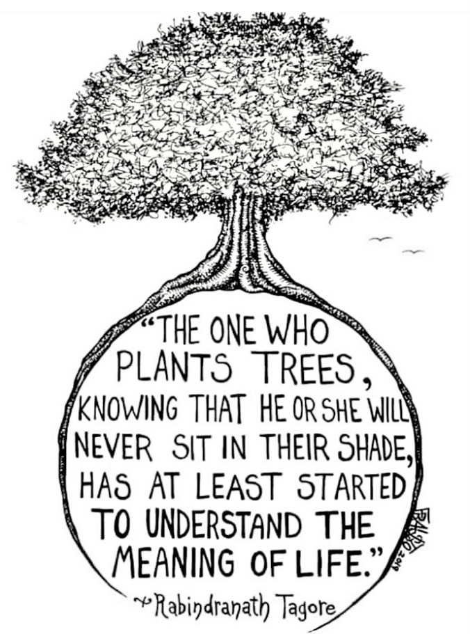 Little Red Bear’s ‘Hidden Word’ Picture Puzzles | James Milson – The ...